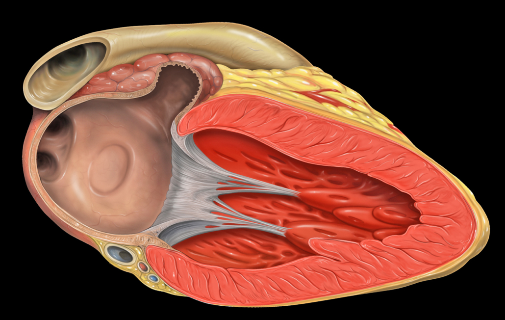 In rapido aumento il rischio di malattie cardiovascolari in Cina - Newence